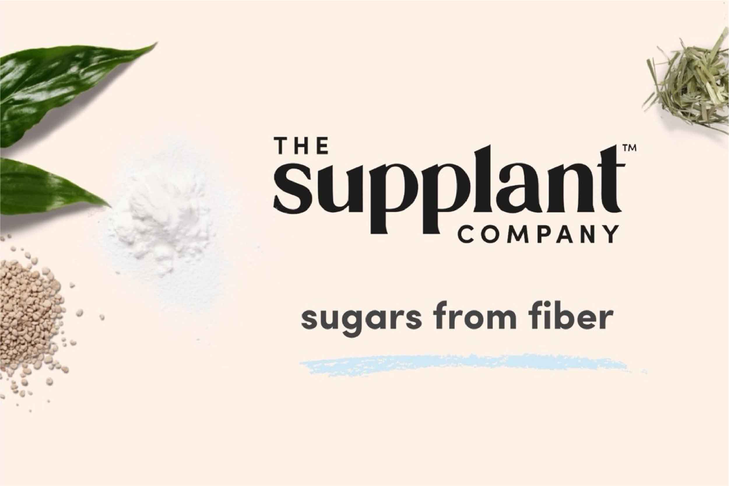 焦點關注：The Supplant Company - 南豐作坊