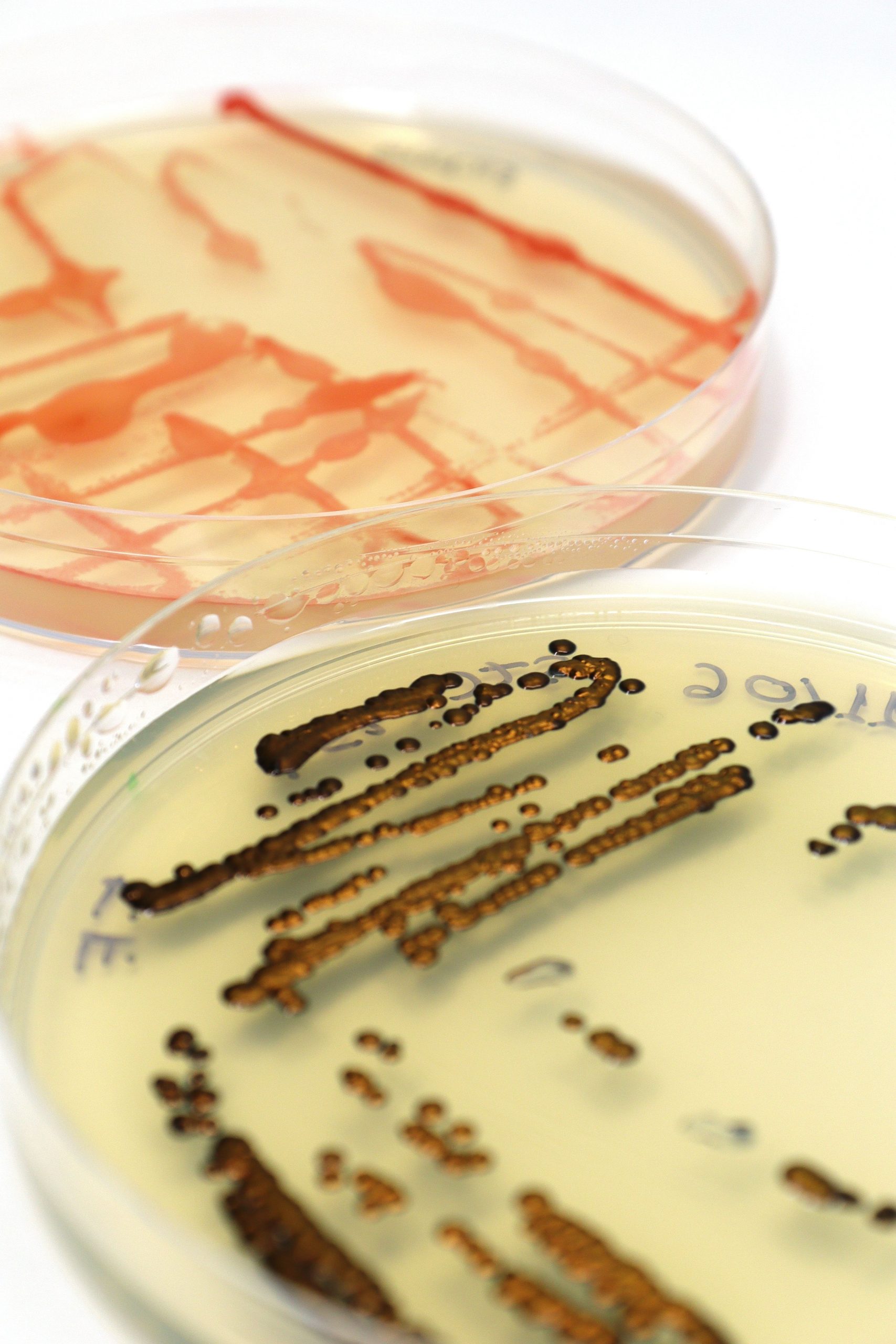 Colorifix - The Mills Fabrica