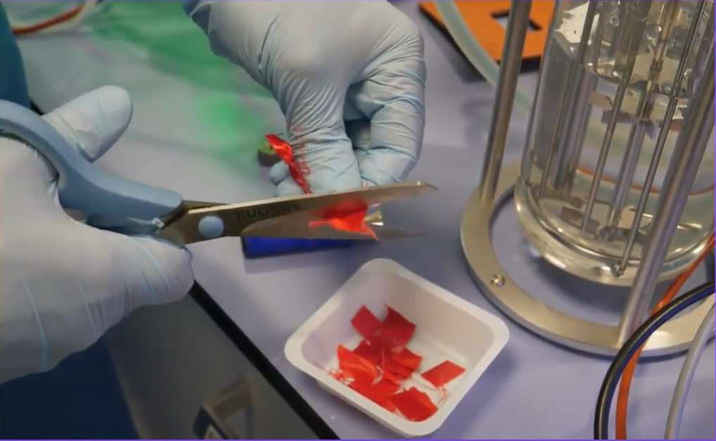 Bio-recycling of Nylon Waste - The Mills Fabrica