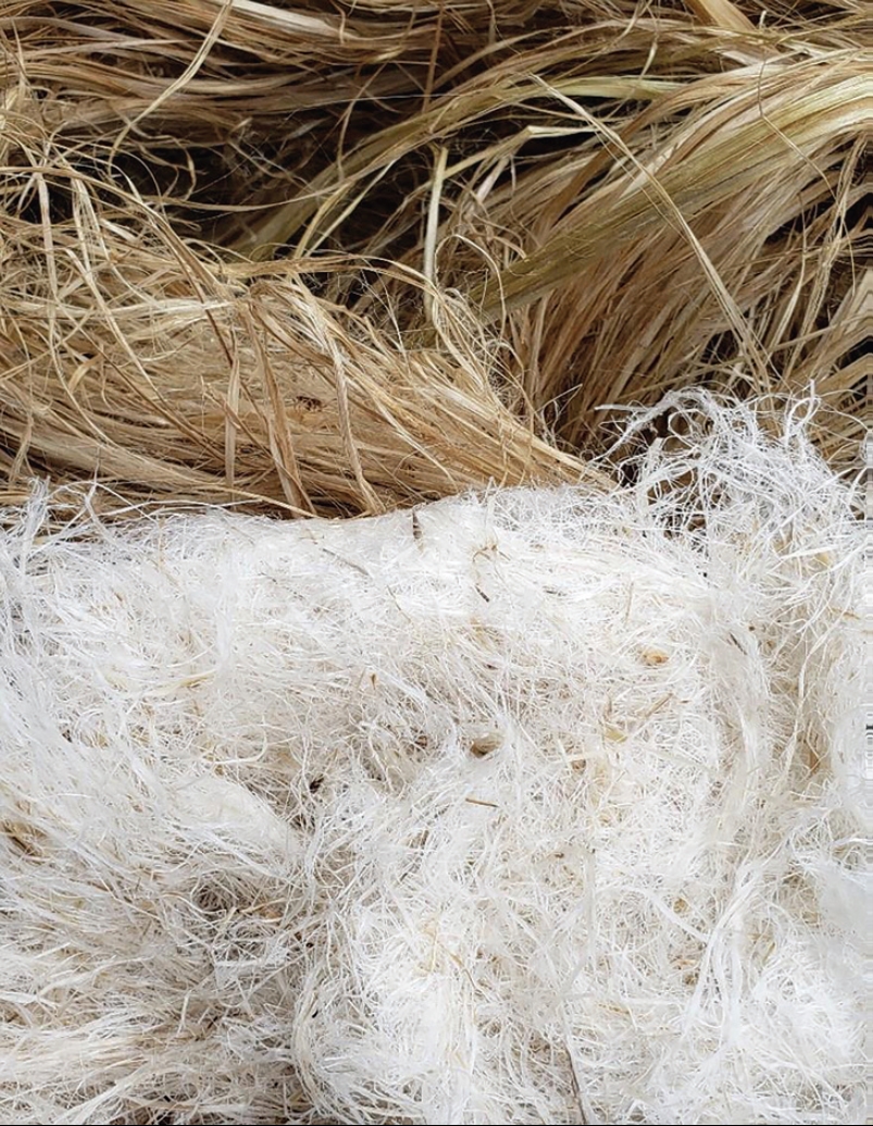 Tung Ga Group - The Mills Fabrica