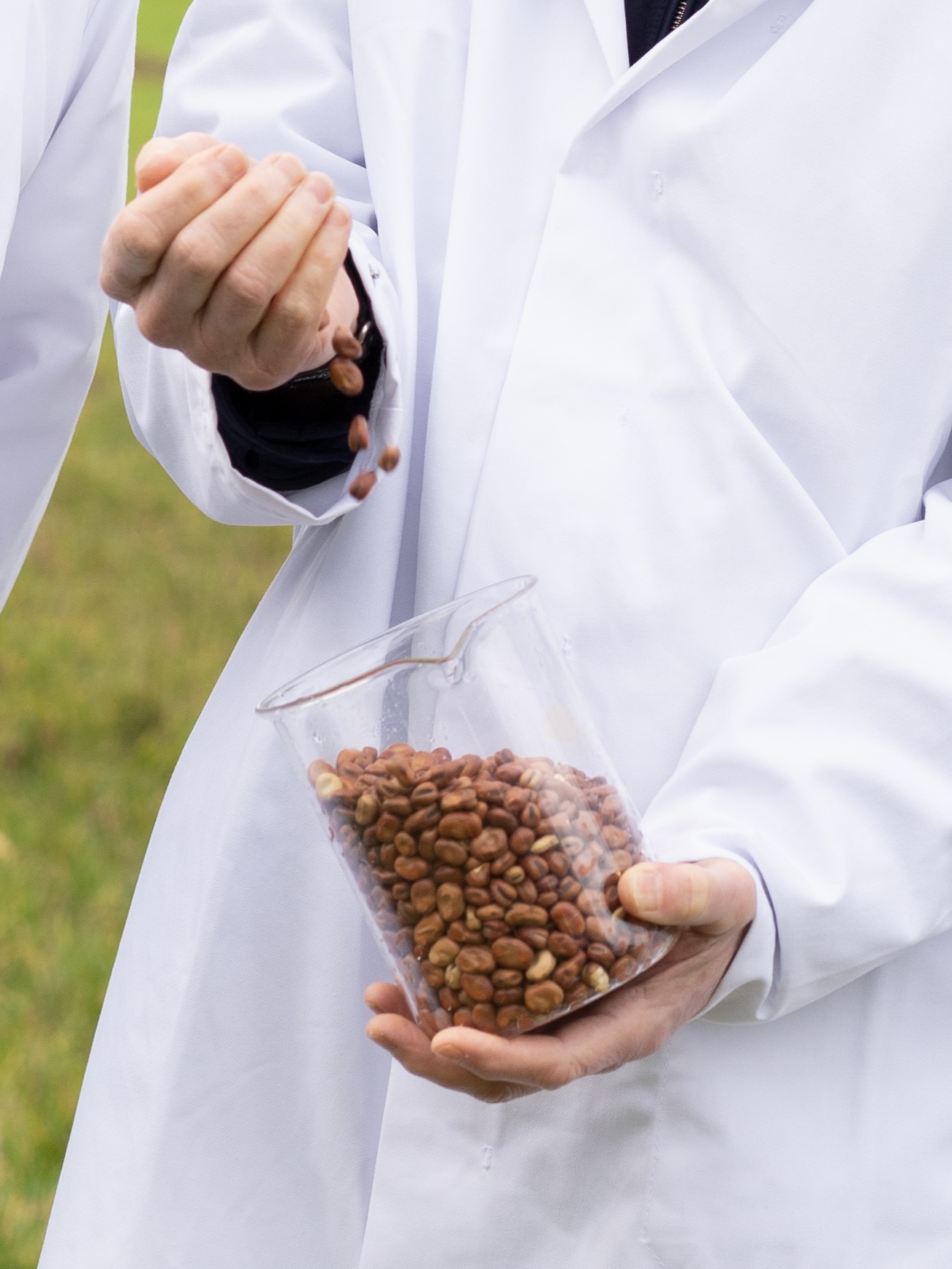 Nukoko - The Mills Fabrica