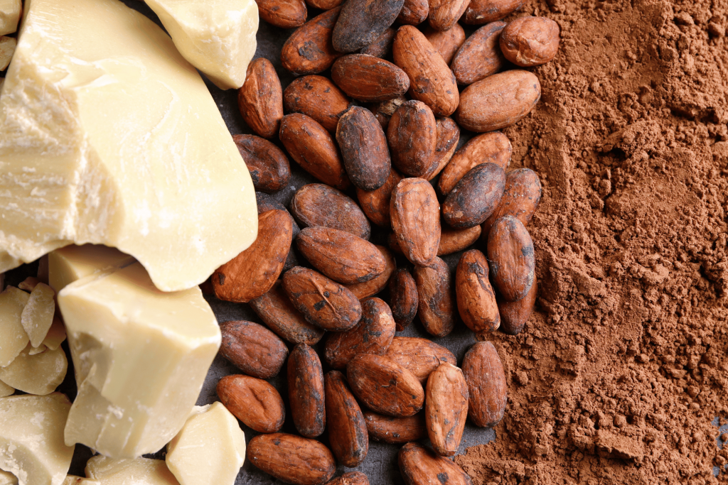 Alternative cocoa: the future of the chocolate industry? - The Mills ...